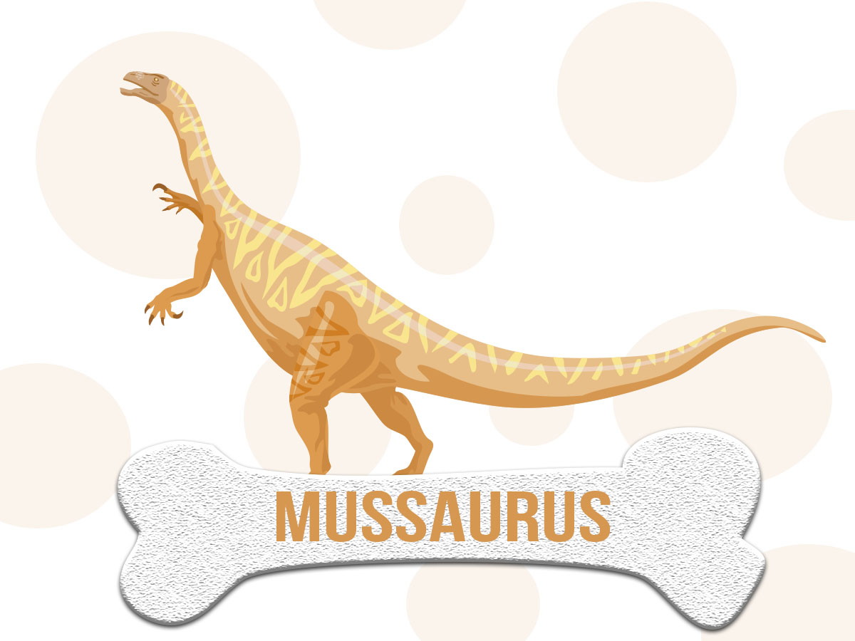 PERIODO TRIÁSICO Dinosaurios, características y significado