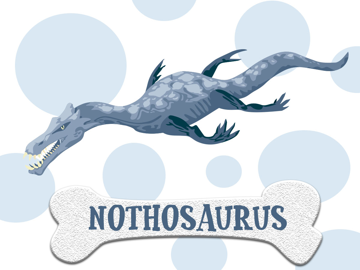 DINOSAURIO: Nothosaurus Características, hábitat y alimentación