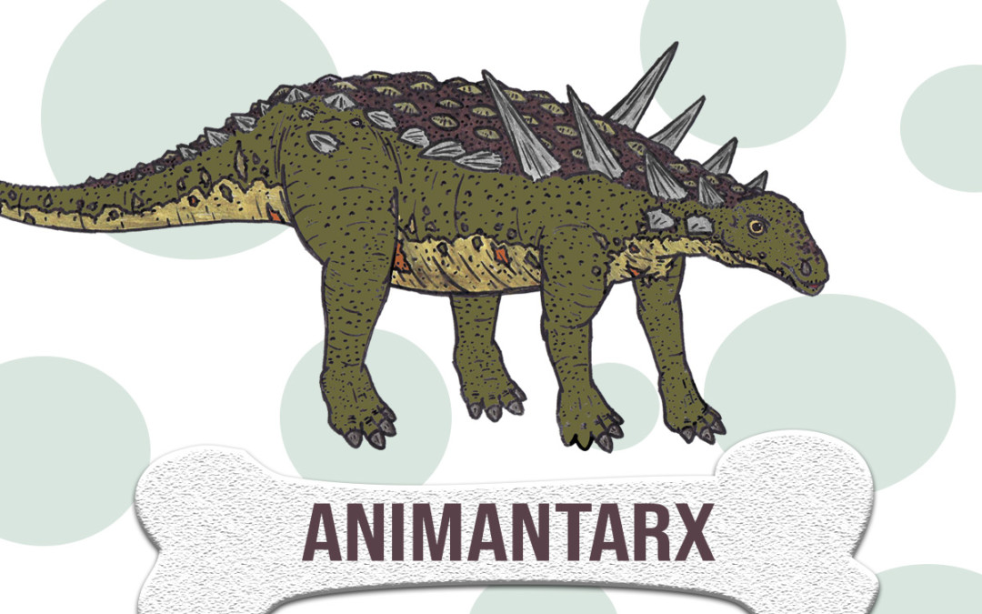 Recursos archivo - Página 14 de 104 - Bosque de Fantasías