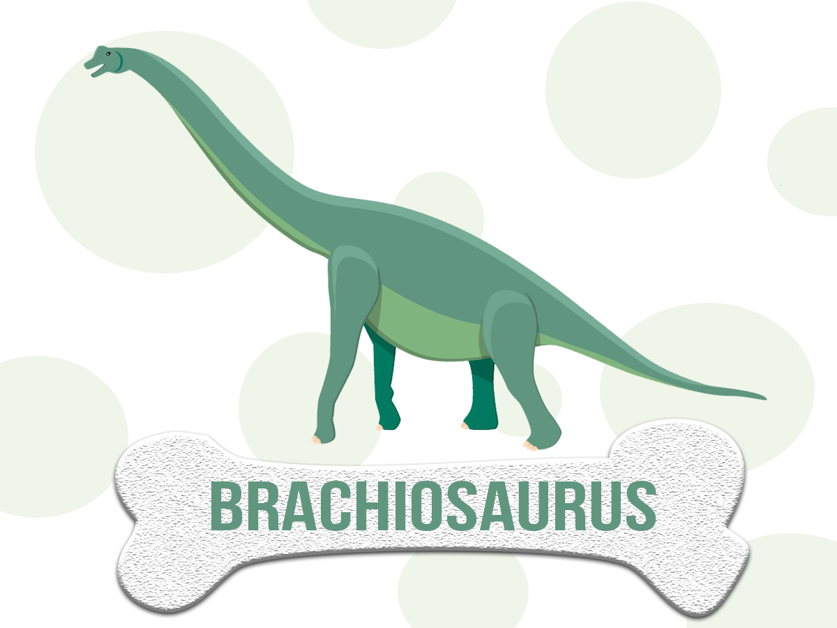 DINOSAURIO: Brachiosaurus Características, hábitat y alimentación