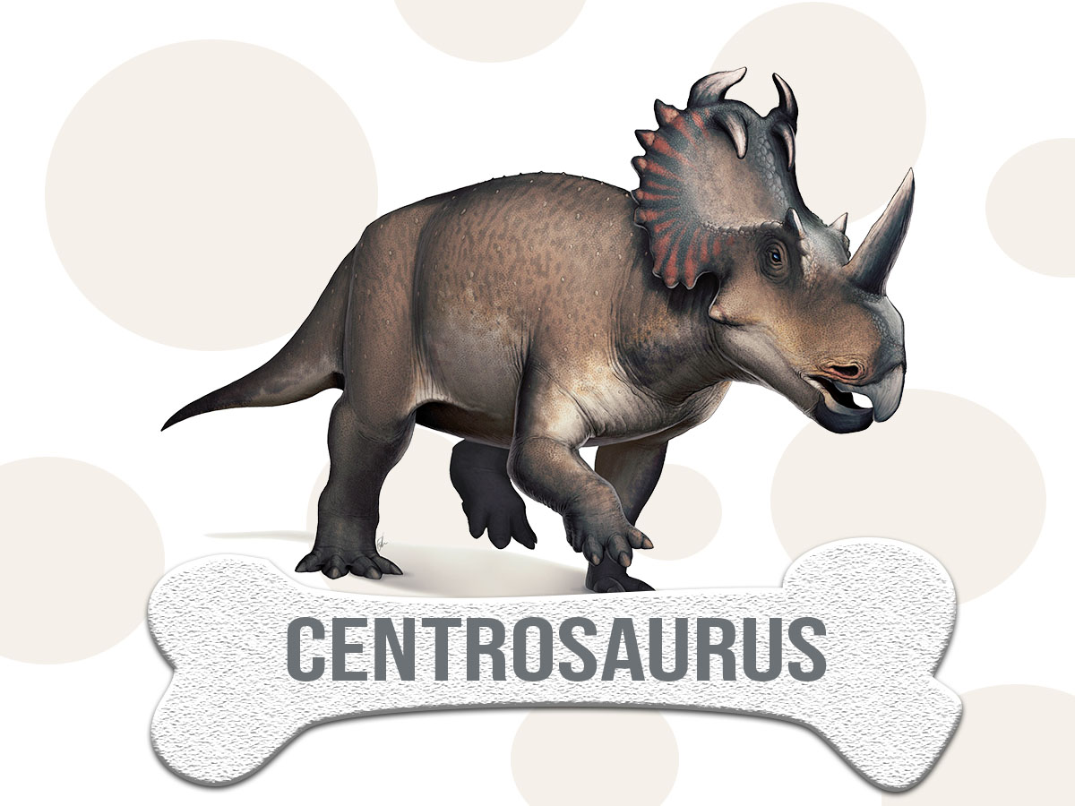 DINOSAURIO: Centrosaurus apertus Características y alimentación