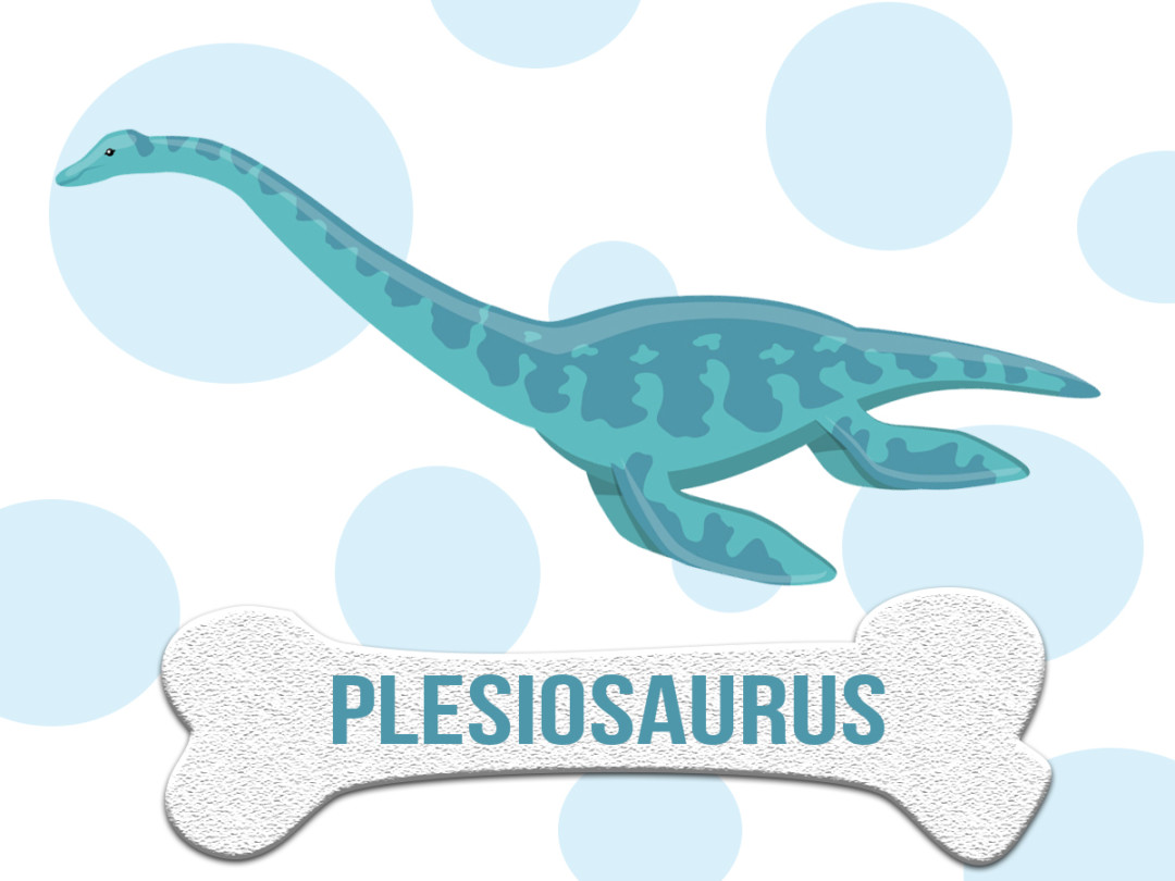 DINOSAURIO: Plesiosaurus Características, hábitat y alimentación