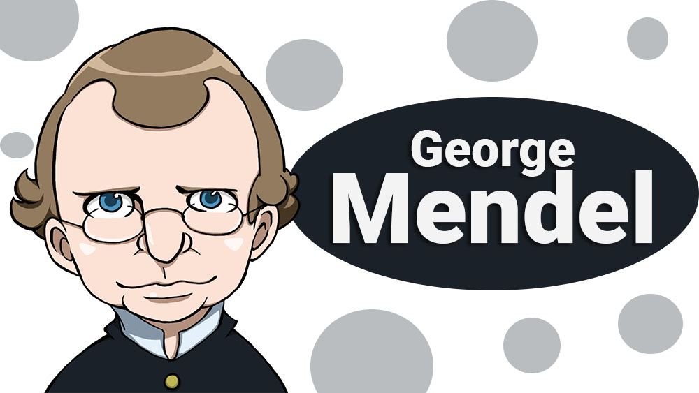 BIOGRAFÍAS CORTAS ® Gregor Mendel : Científico y matemático BIOGRAFÍAS CORTAS ® Gregor Mendel : Científico y matemático