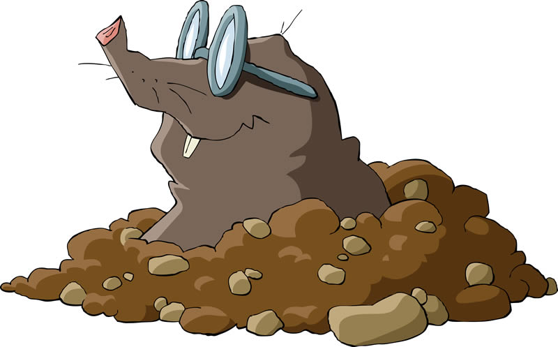 Cuento con valores : La familia topo | Bosque de Fantasías